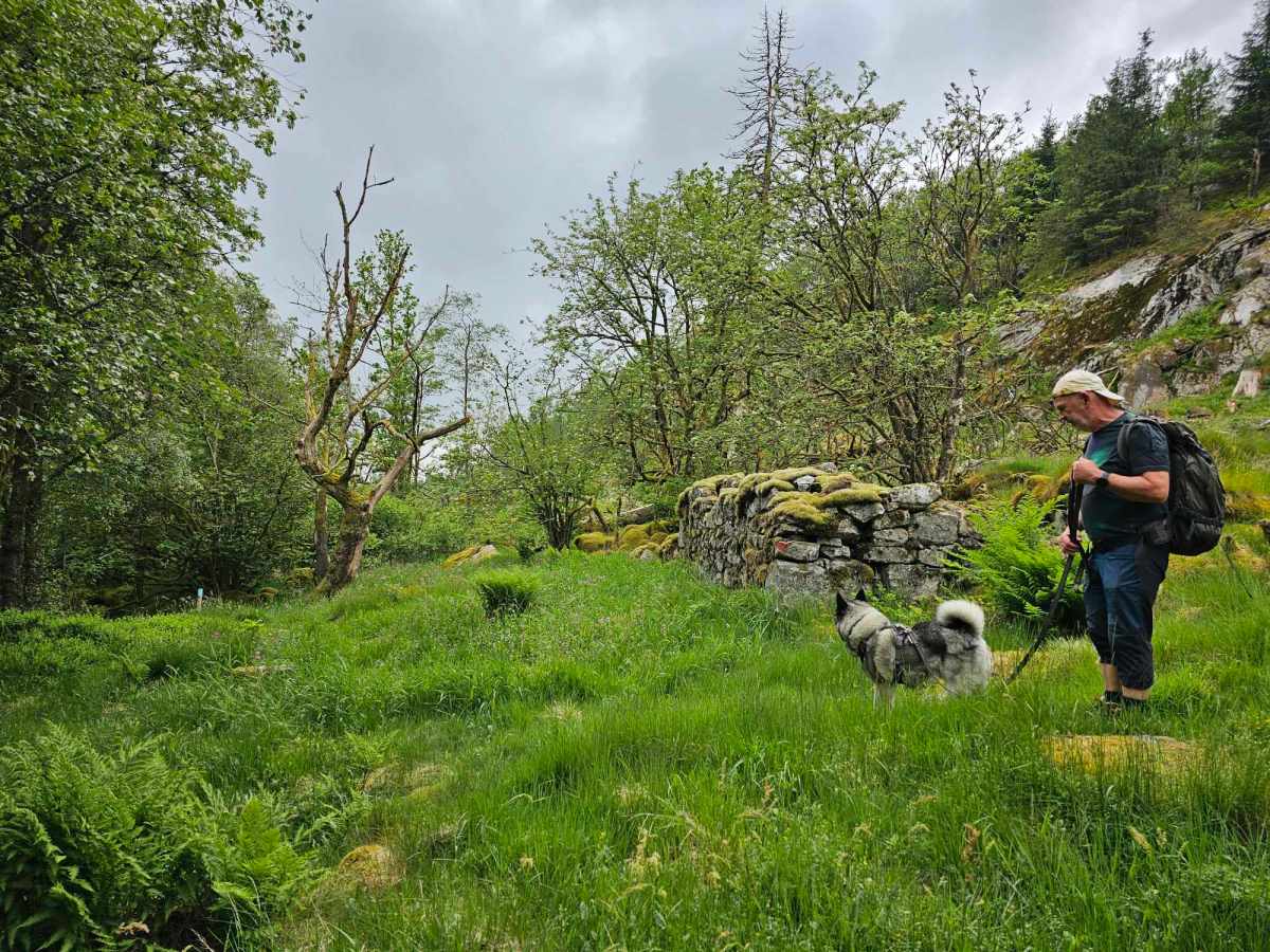 Fra Eitland til Skistad – PÅ TUR! Ut i naturen med Svein Blålid